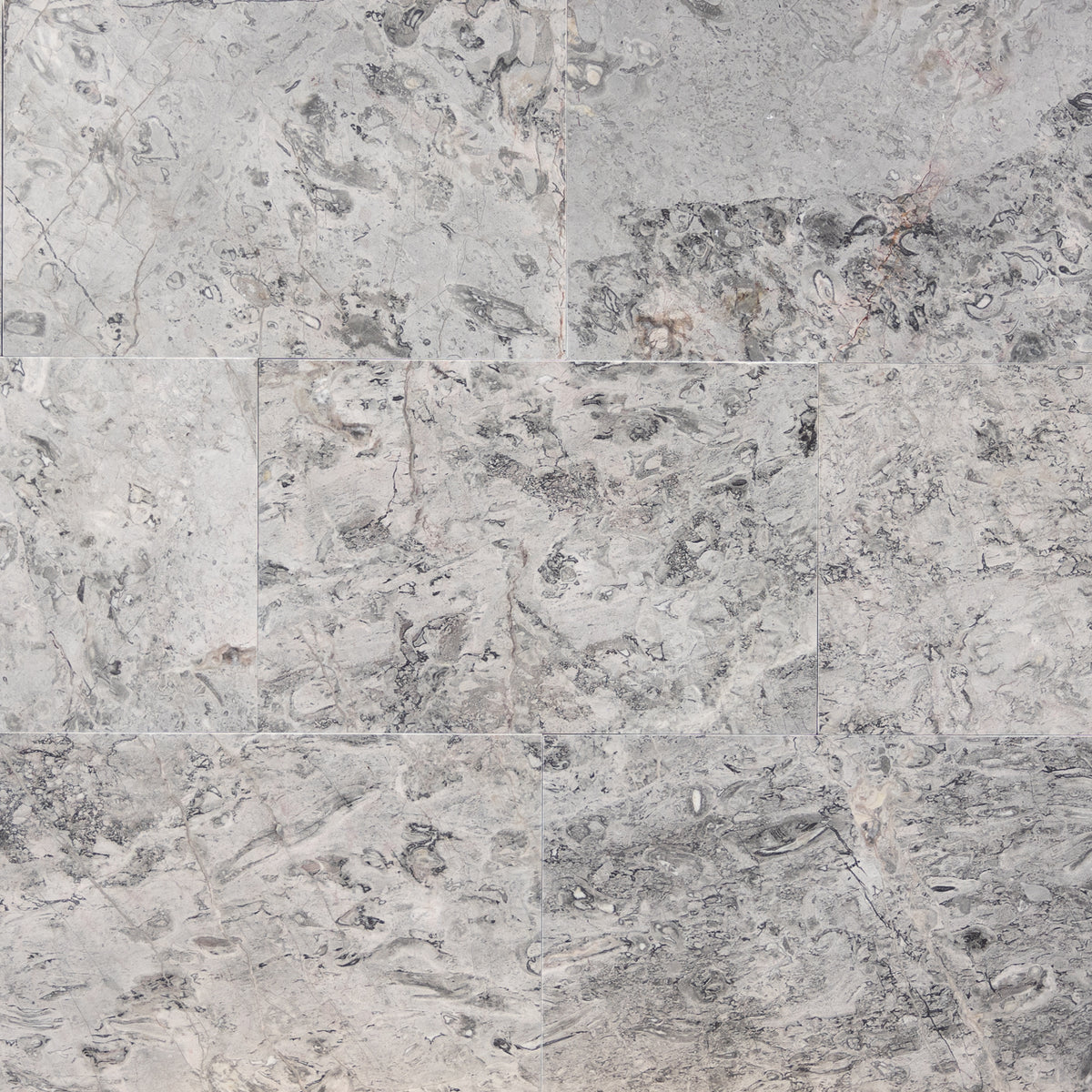 Sage Gray 16" x 24" Tile in USA | Castelli Marble Inc